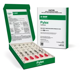 Pylex® | BASF Turf Solutions Australia